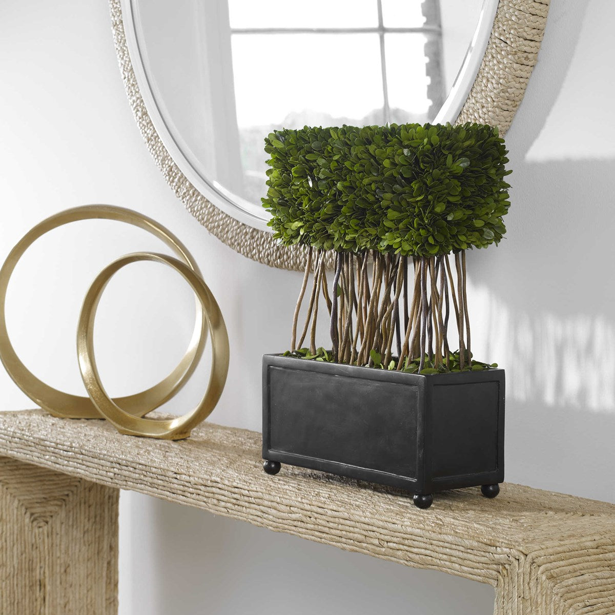 Preserved Boxwood Rectangular Topiary – Bombay Mercantile