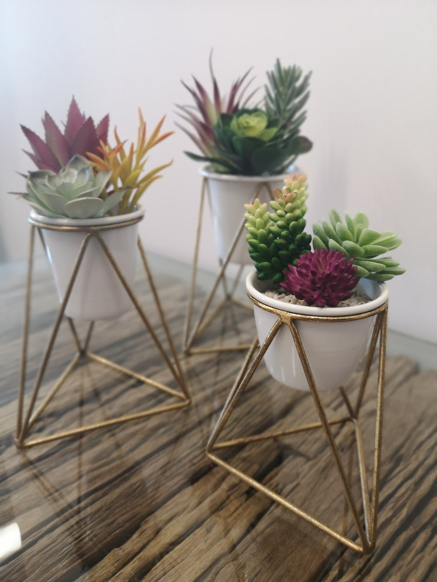 Geometric tabletop pots, Set of 3 – Bombay Mercantile